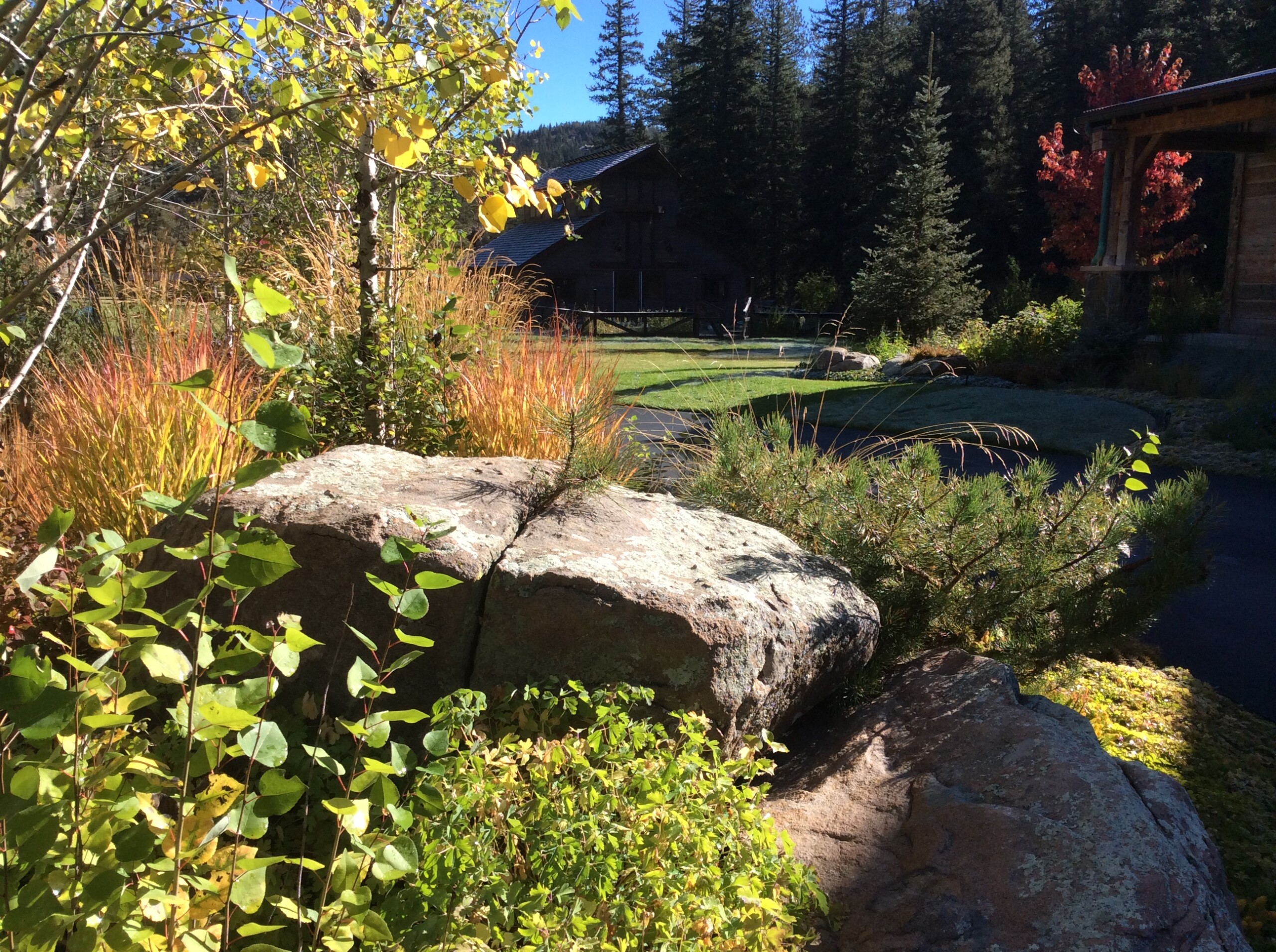 Freshen Up Your Garden With Fall Bloomers - Colorado Homes & Lifestyles