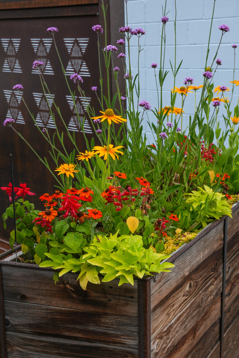 Freshen Up Your Garden With Fall Bloomers - Colorado Homes & Lifestyles