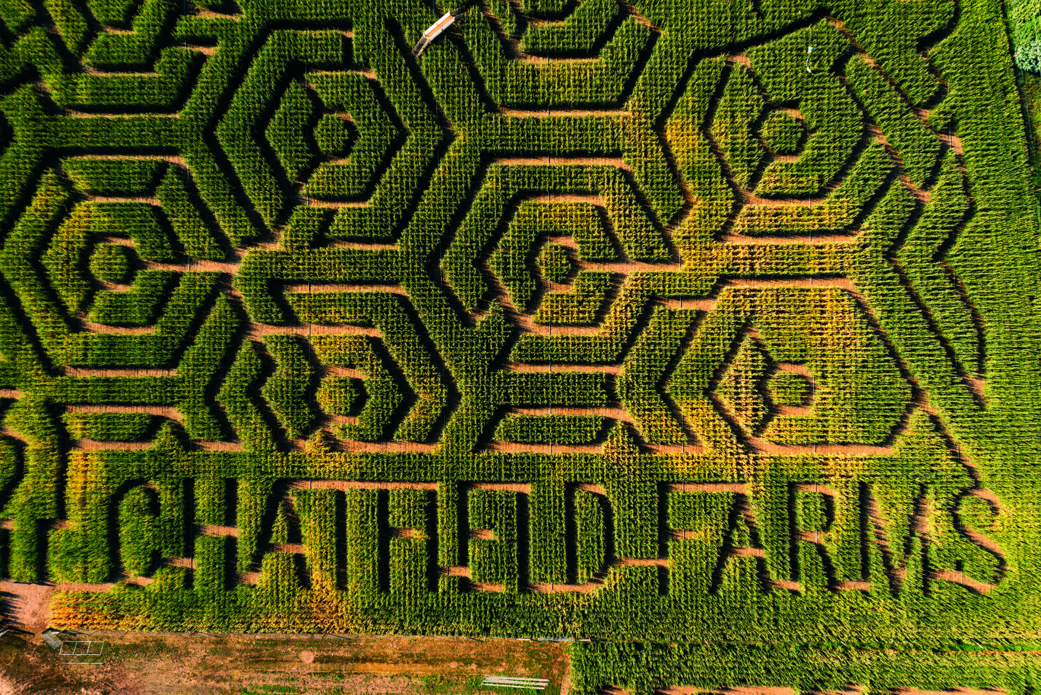 Plan an Adventurous Corn Maze Field Day at Chatfield Farms this Autumn ...