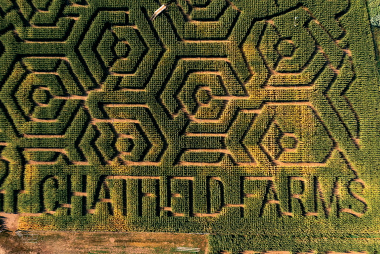 Plan an Adventurous Corn Maze Field Day at Chatfield Farms this Autumn ...