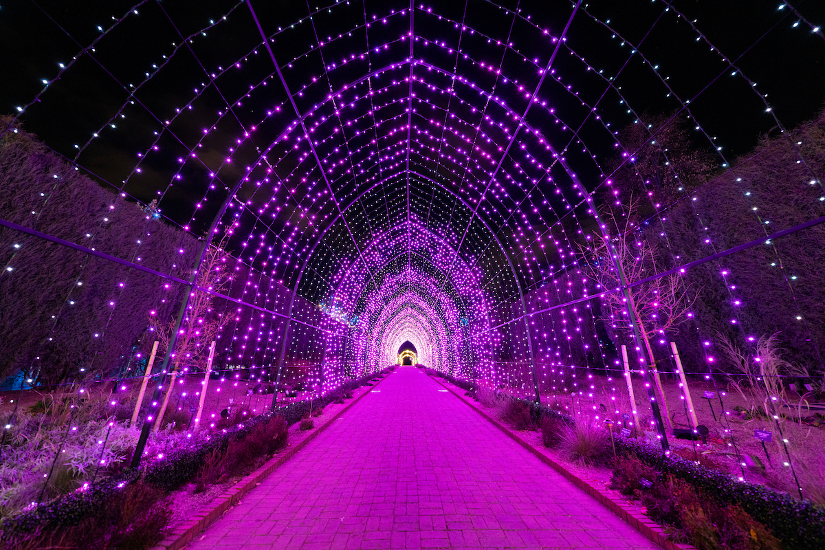 Denver Botanic Gardens Knows How to Make the Season Bright - Colorado ...