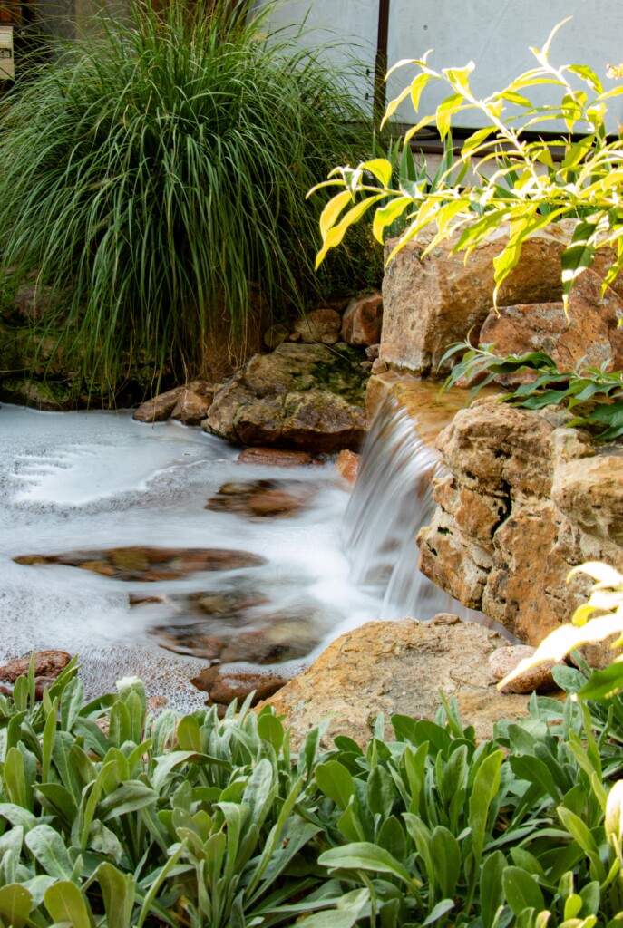 The Healing Power of Holistic Gardening and Landscape Design - Colorado ...