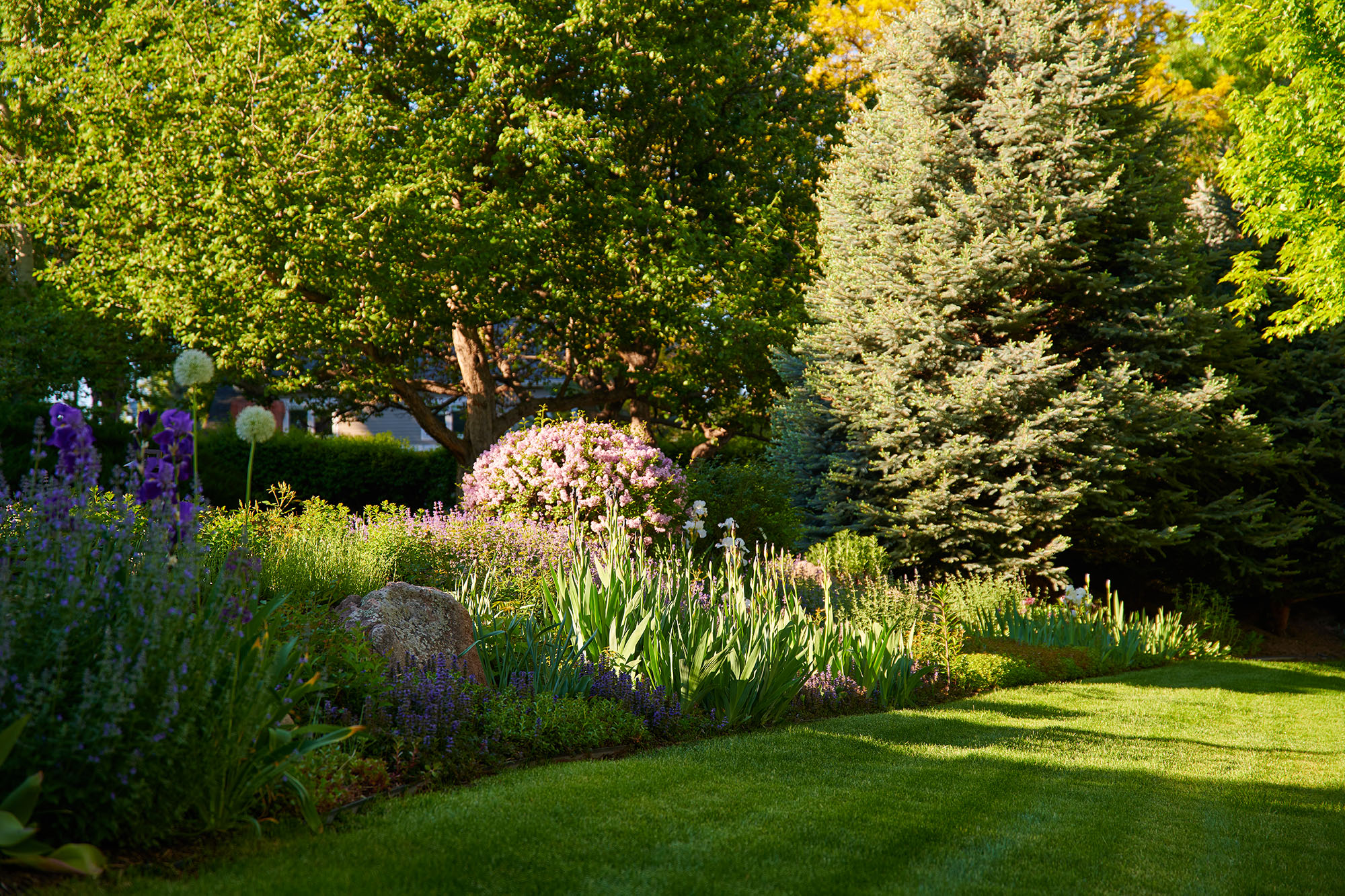 Landscaping with a Wellness-Focus is the Way to Go - Colorado Homes ...