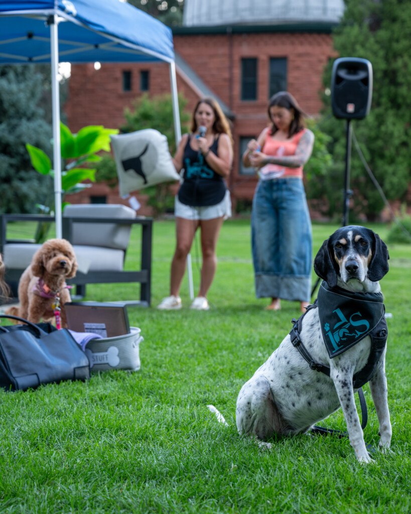 When Dogs and Design Meet - Colorado Homes & Lifestyles