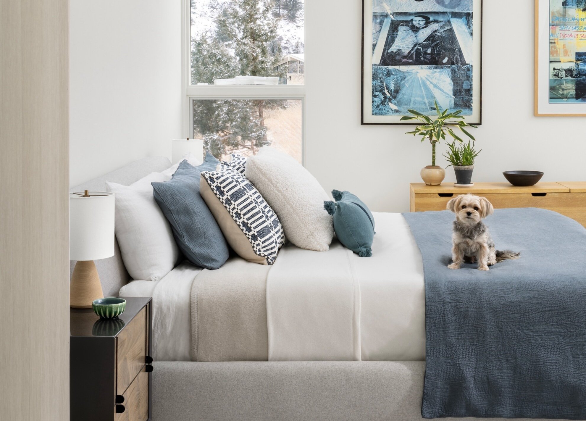 Colorado Homes & Lifestyles | Colorado's Home Design Authority