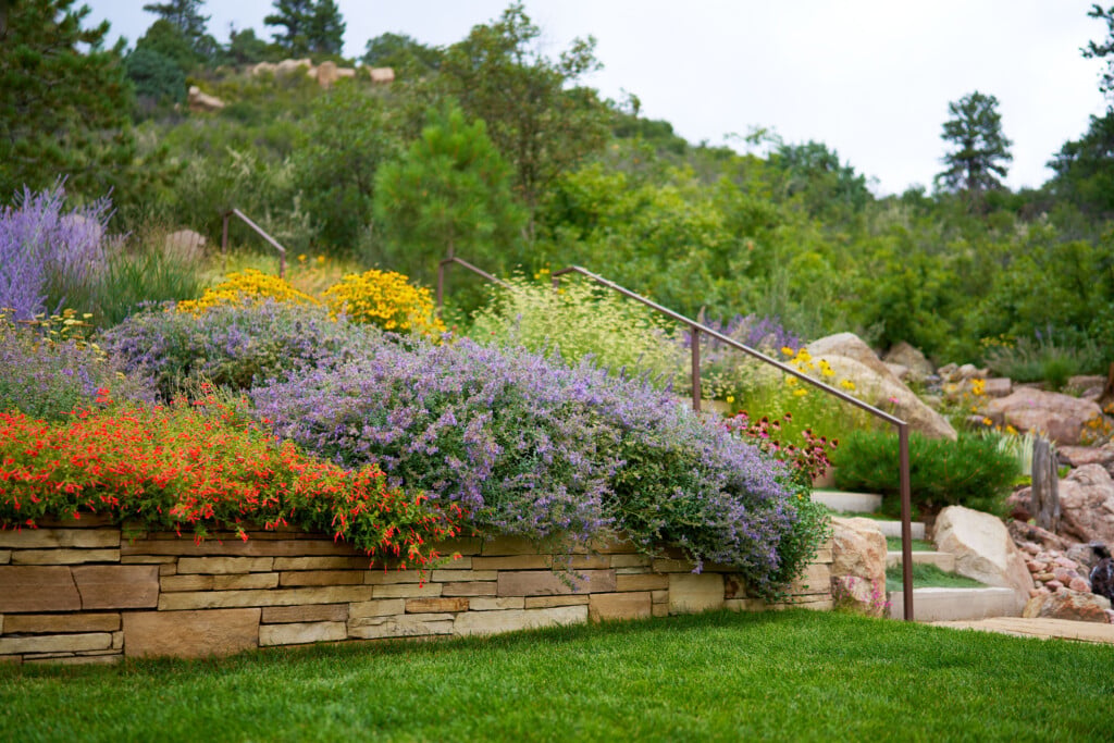 ColoradoScapes: A Fresh Perspective on Landscaping - Colorado Homes ...
