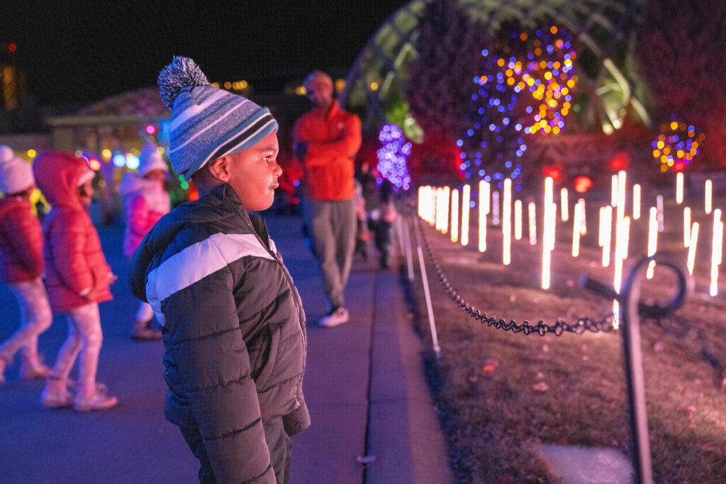 Denver Botanic Gardens and Chatfield Farms Light Up the Night ...