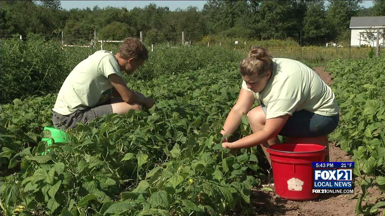 Positive Future Ahead for UMD Land Lab - Fox21Online