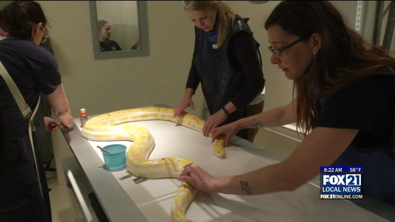 Donation to Lake Superior Zoo Benefits Animal Health - Fox21Online