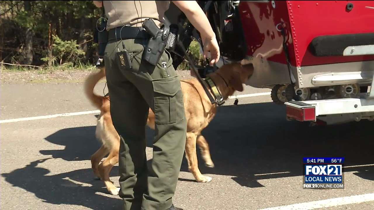 DNR K9's Sniff Out Invasive Species - Fox21Online