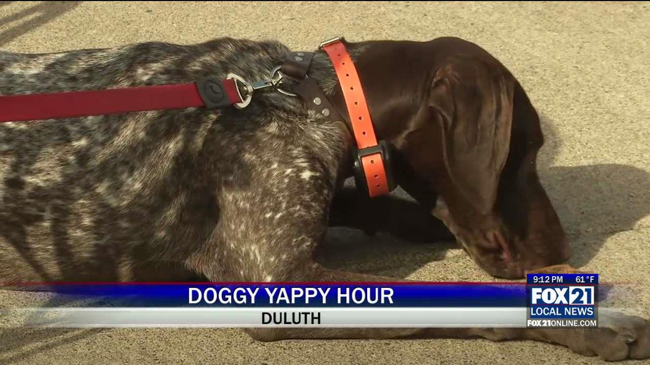 It's 'Yappy Hour' At The Boat Club - Fox21Online
