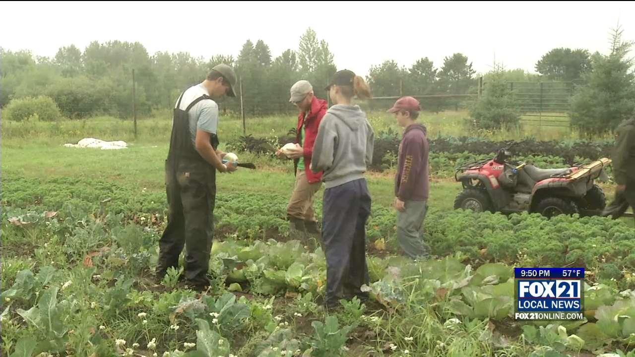 Digging Deeper with Northern Harvest CSA Farm - Fox21Online
