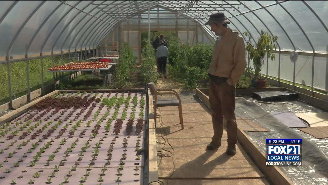 UMD Farm Fest Offers Look Inside Organic Farm - Fox21Online