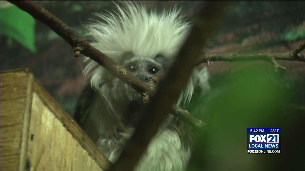 Tamiran-Born-image - Fox21Online