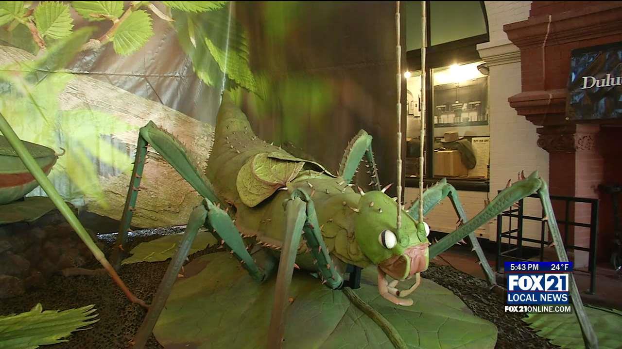 Duluth Depot Bugs Out With Latest Exhibit - Fox21Online
