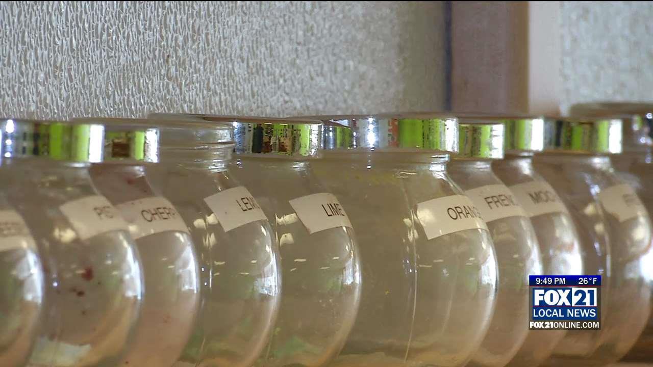 Healthy Vibes Provides Nutritional Fast Food - Fox21Online