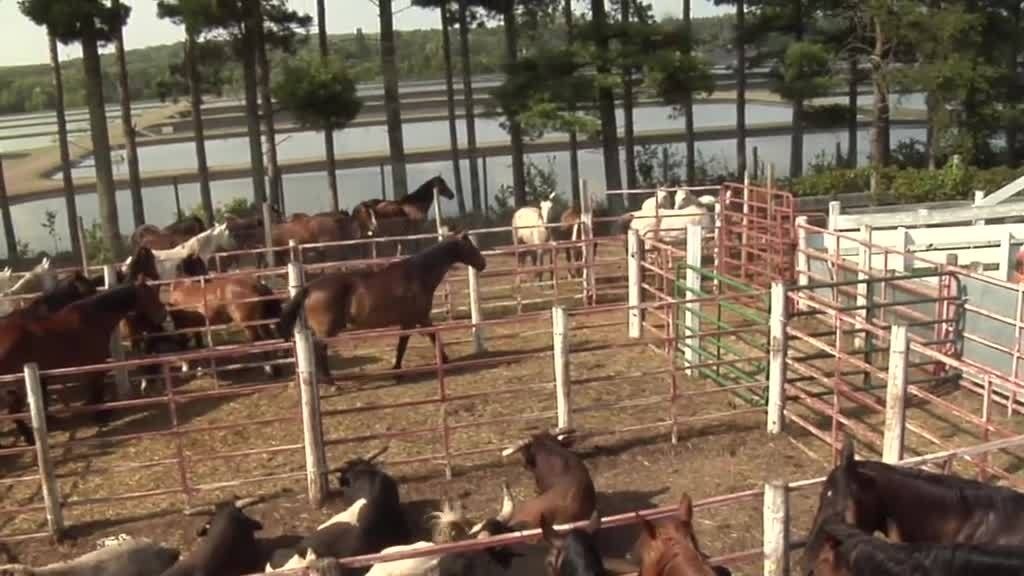 62nd 'Heart of The North Spooner Rodeo' Underway - Fox21Online