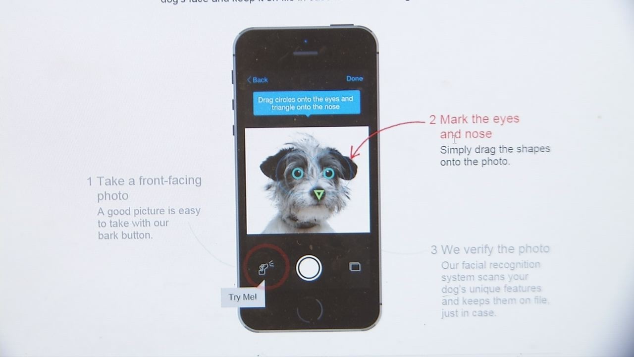 App Lets You Find Missing Dogs - Fox21Online