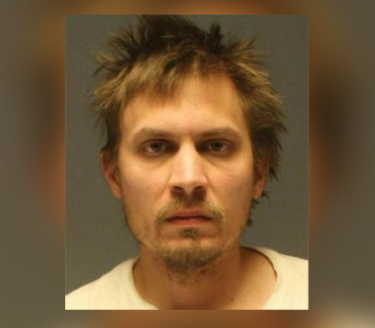 Duluth Judge Finds Dahlstrom Not Guilty by Reason of Mental Illness ...