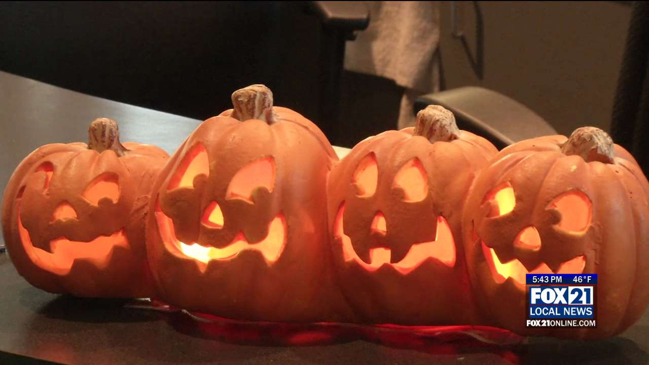 Get Spooky with a Squid at the Aquarium! - Fox21Online