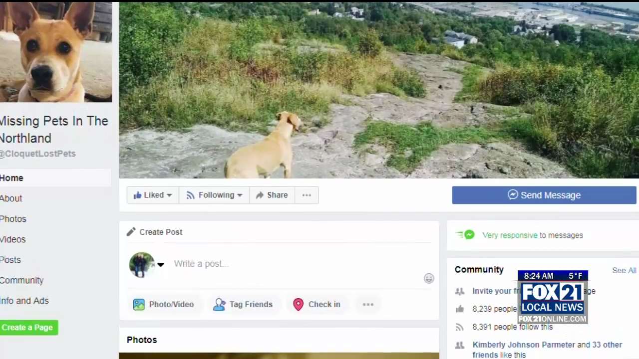 Facebook Page Helps Reunite Lost Animals with Owners - Fox21Online
