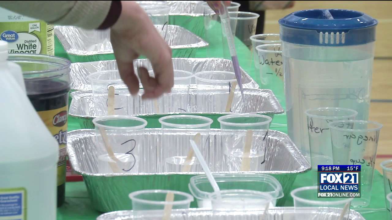 Making Science Fun! See How Kids can Participate in STEM Events at Home ...