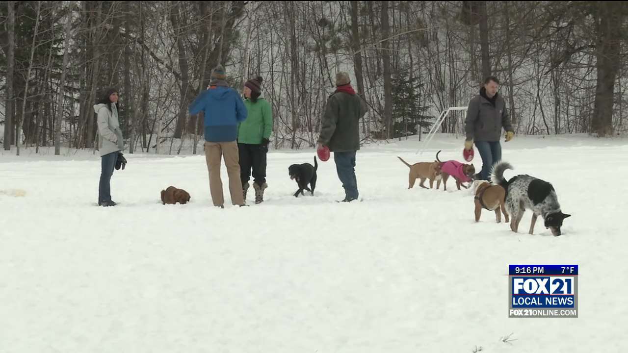 Residents of Duluth Petition for a Chester Dog Park - Fox21Online
