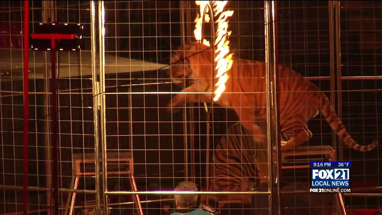 74th Annual Annual AAD Shrine Circus Comes to Town - Fox21Online