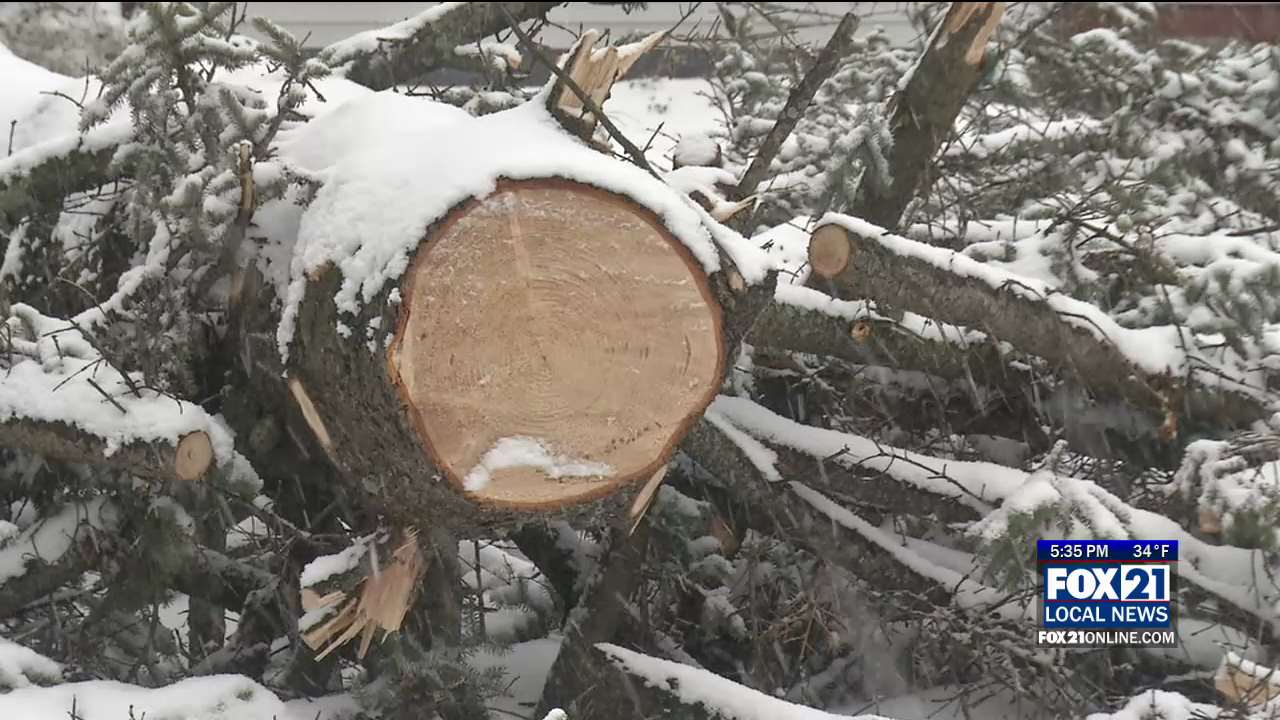 Snow Storm Leaves Damage Behind in Carlton County - Fox21Online