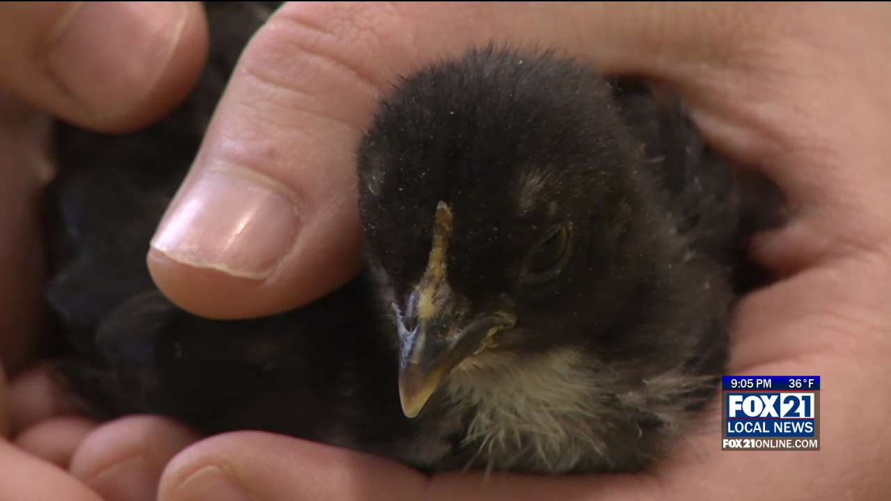 Families Have Fun with Science at Science Fest - Fox21Online