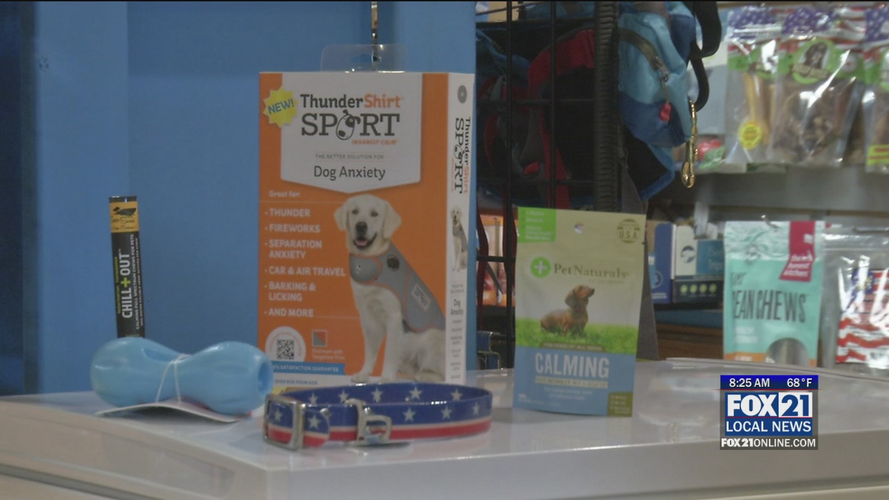 Keeping Fido Calm During Fourth Festivities - Fox21Online