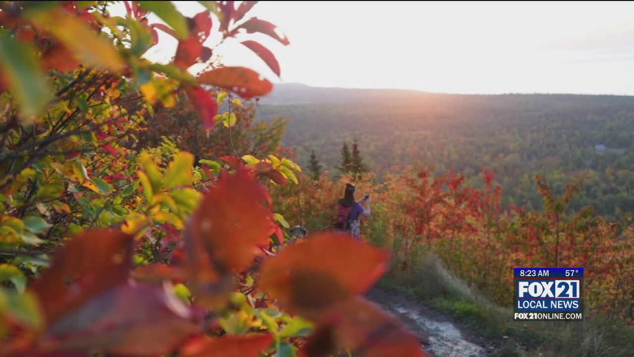 Visit Cook County Talks Fall Foliage, Upcoming Autumn Events - Fox21Online