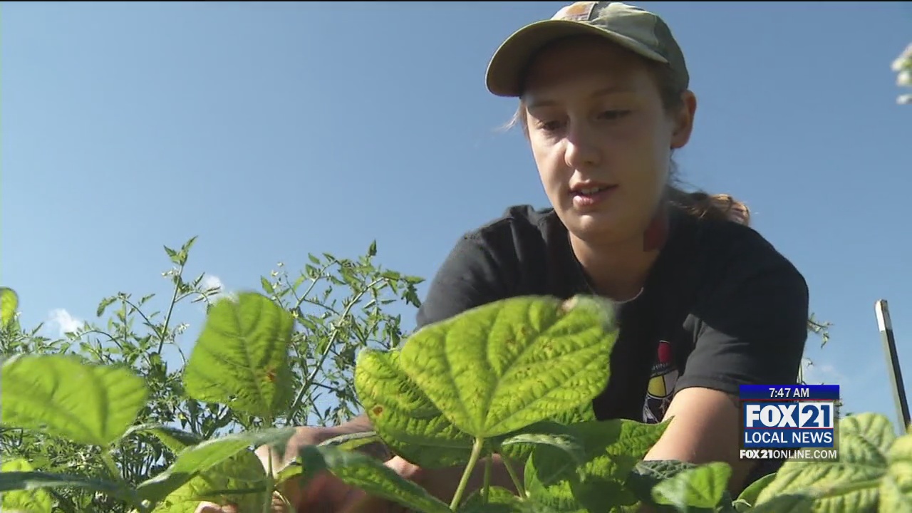 Great Outdoors: UMD Land Farm - Fox21Online