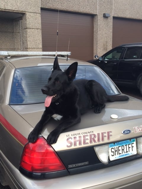K9 Diesel 3 - Fox21Online