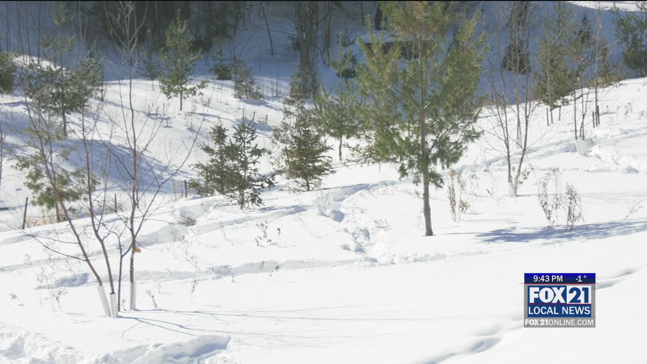 Yeti Hunt is Back on Saturday, February 19th - Fox21Online