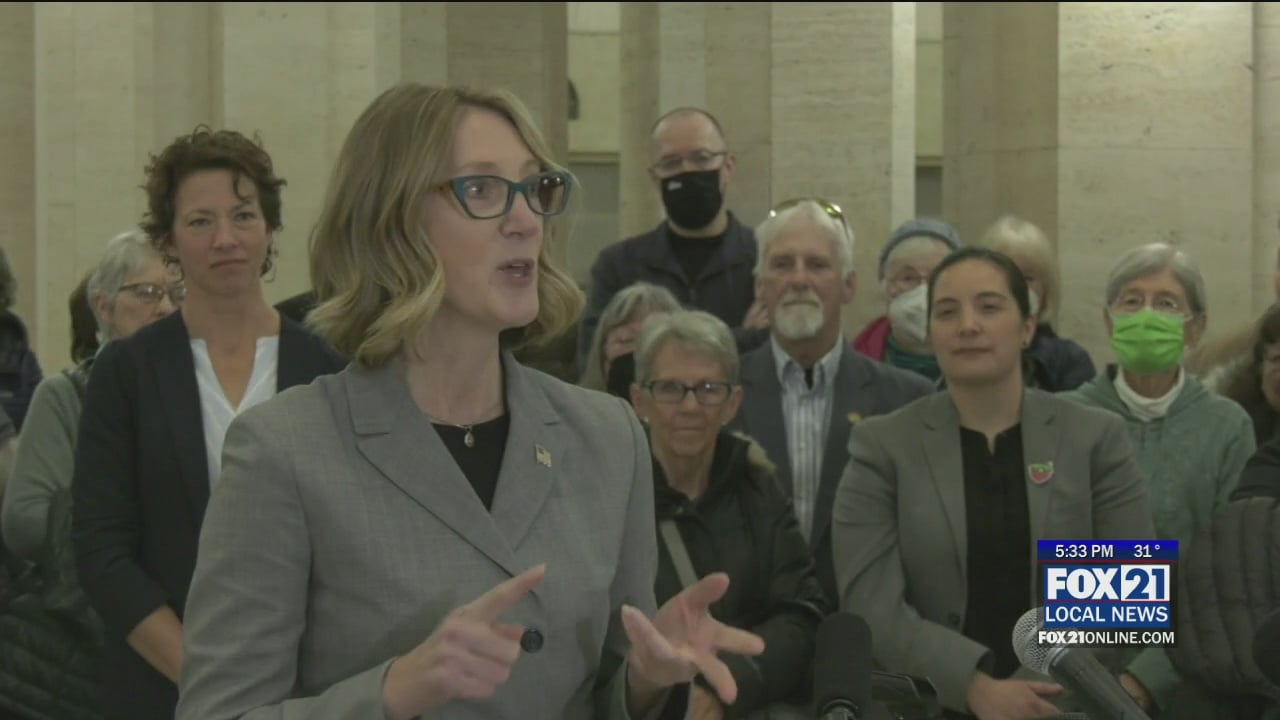 Jen Schultz Announces Bid for Minnesota's 8th Congressional District ...