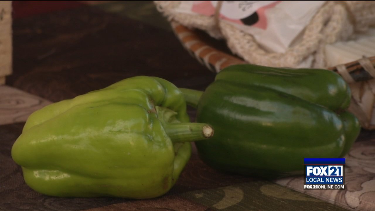 Lincoln Park Harvest Festival - Fox21Online