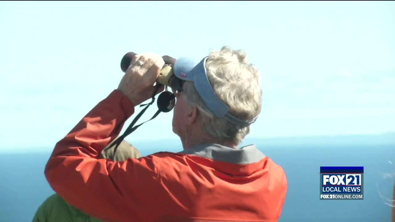 Hawk Ridge Celebrates 50 Years With Great Bird Migration - Fox21Online