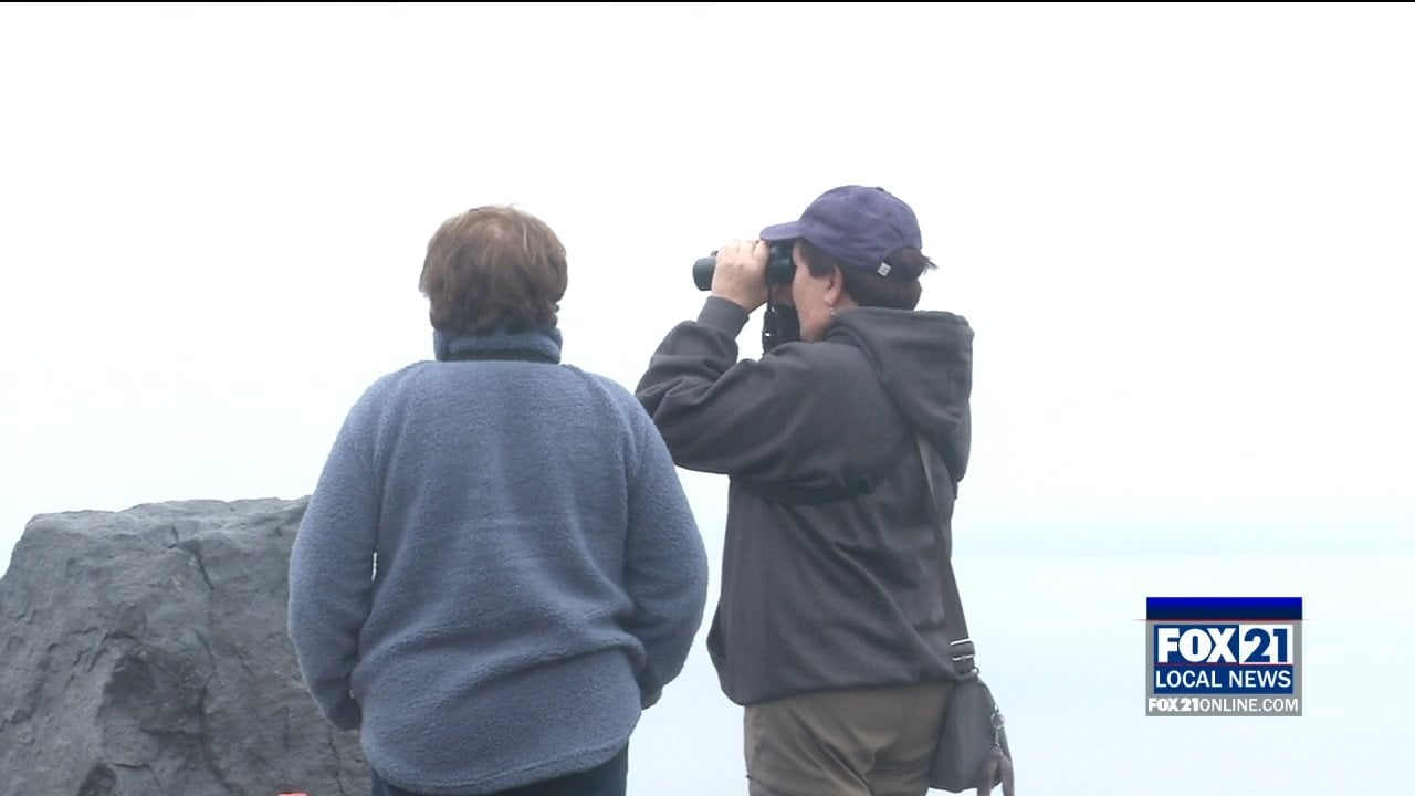 Hawk Ridge Bird Observatory Celebrates 50 Years - Fox21Online