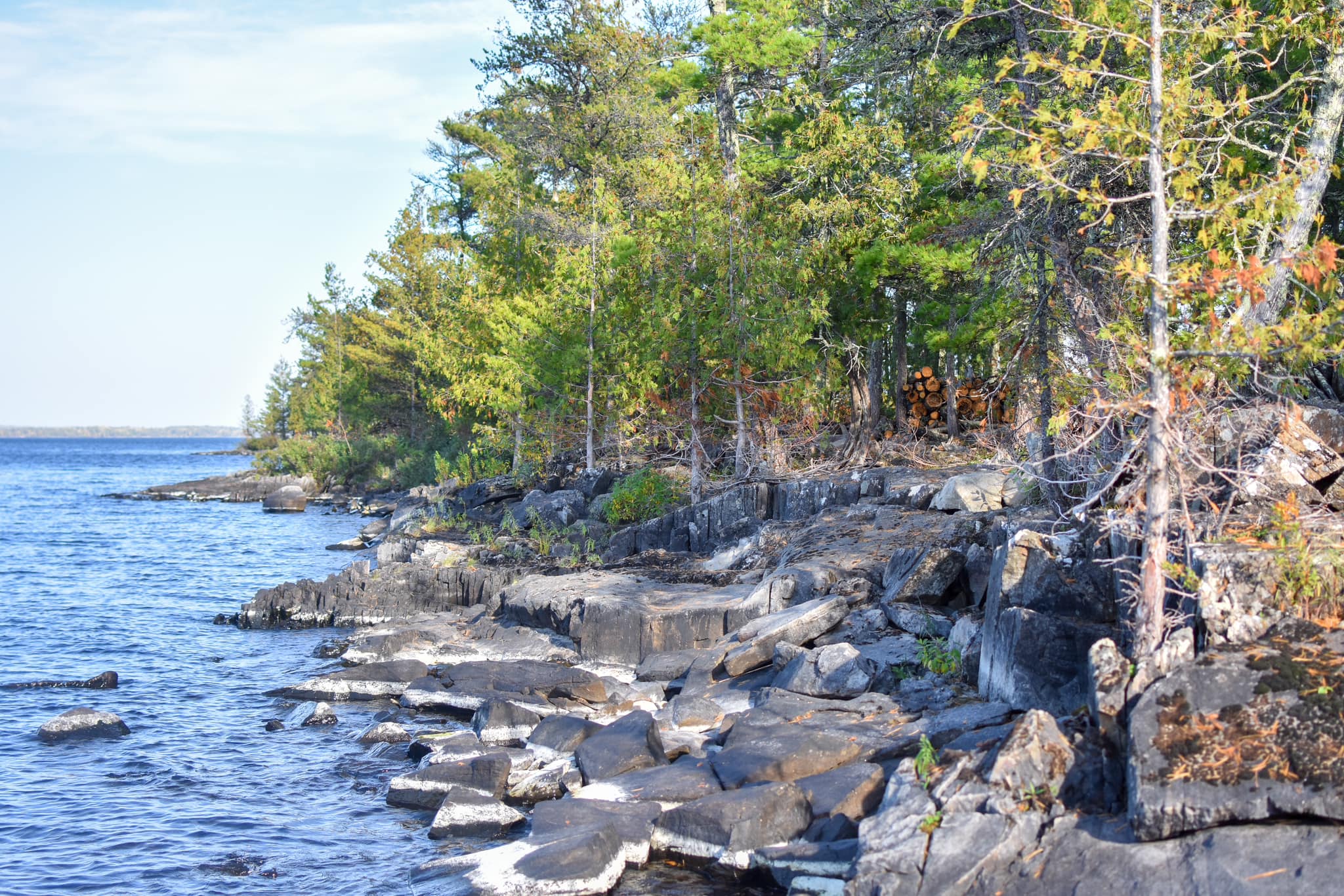 voyageurs ! - Fox21Online