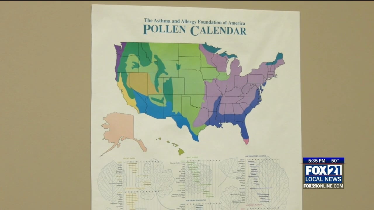 Spring Allergy Season Right Around The Corner - Fox21Online