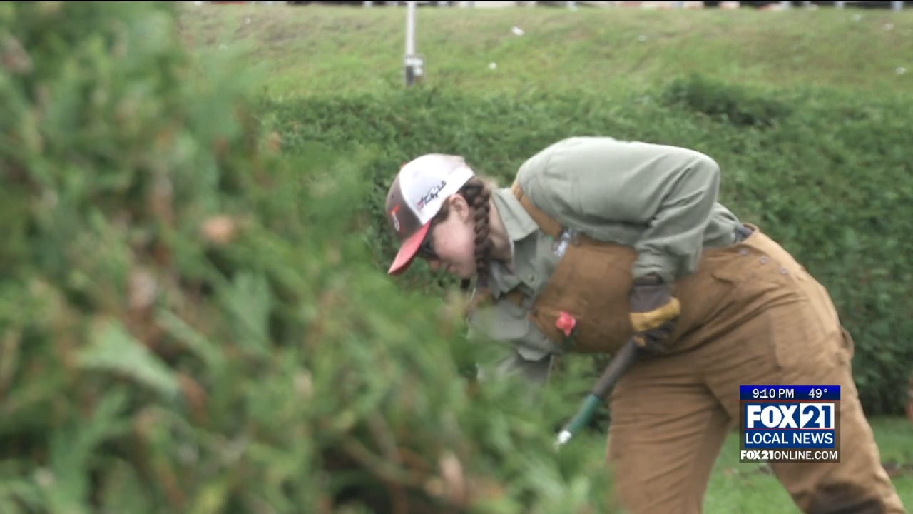 Public Invited to Assist in Rose Tipping - Fox21Online