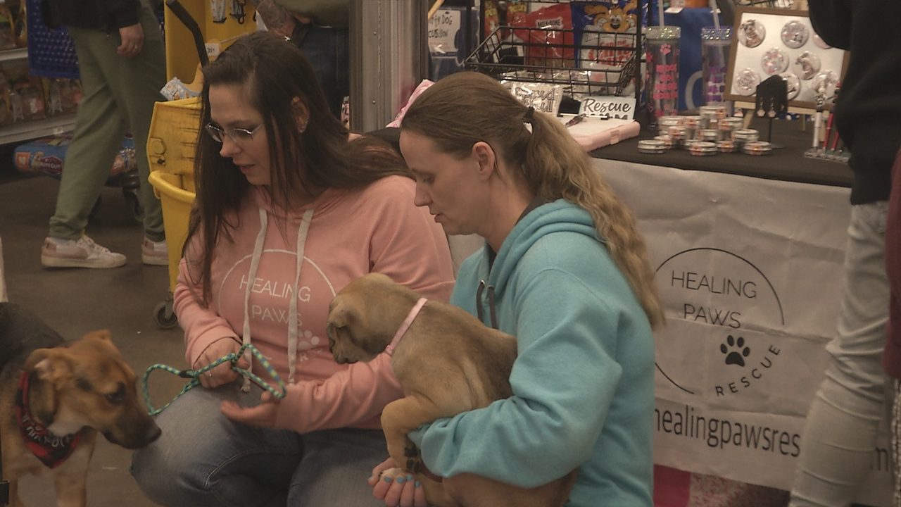 Healing Paws Holds Adoption Event for Rescued Pups - Fox21Online