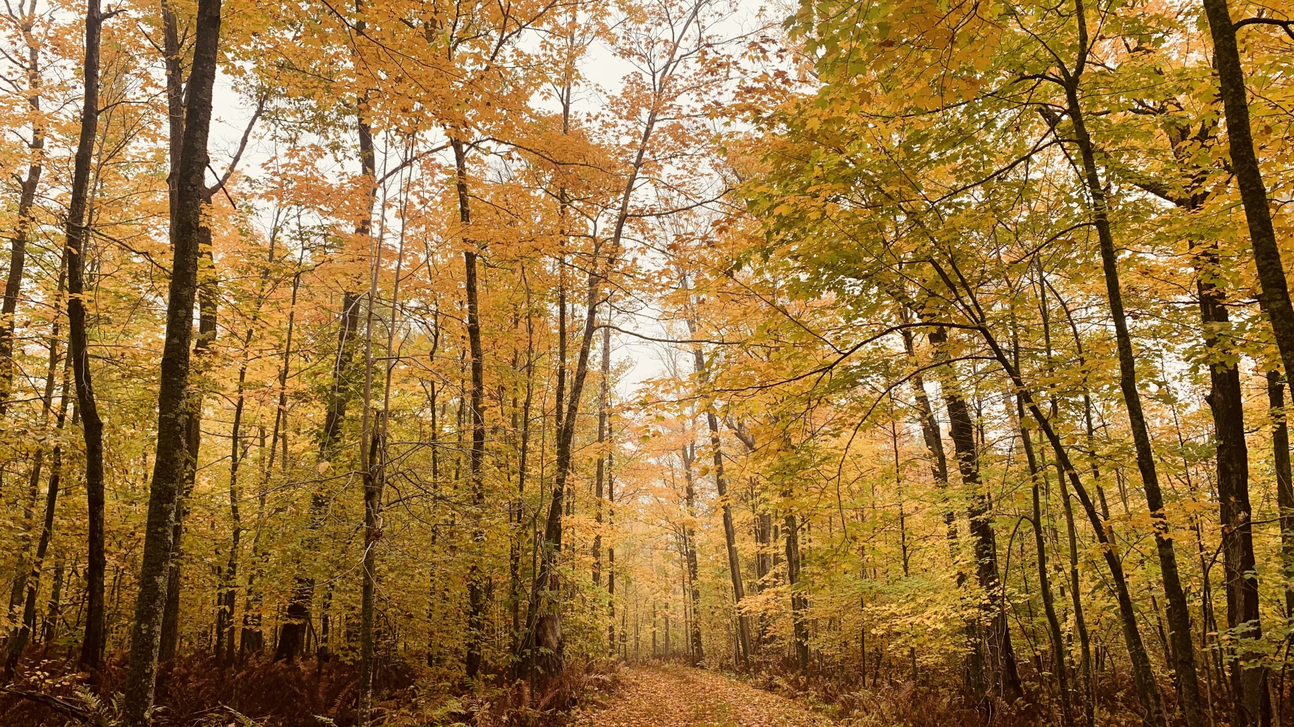 jay-cooke - Fox21Online