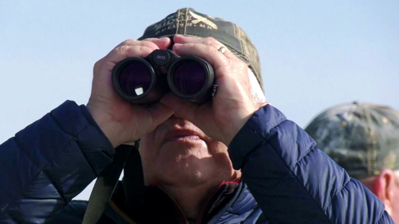 HAWKCOUNT - Fox21Online