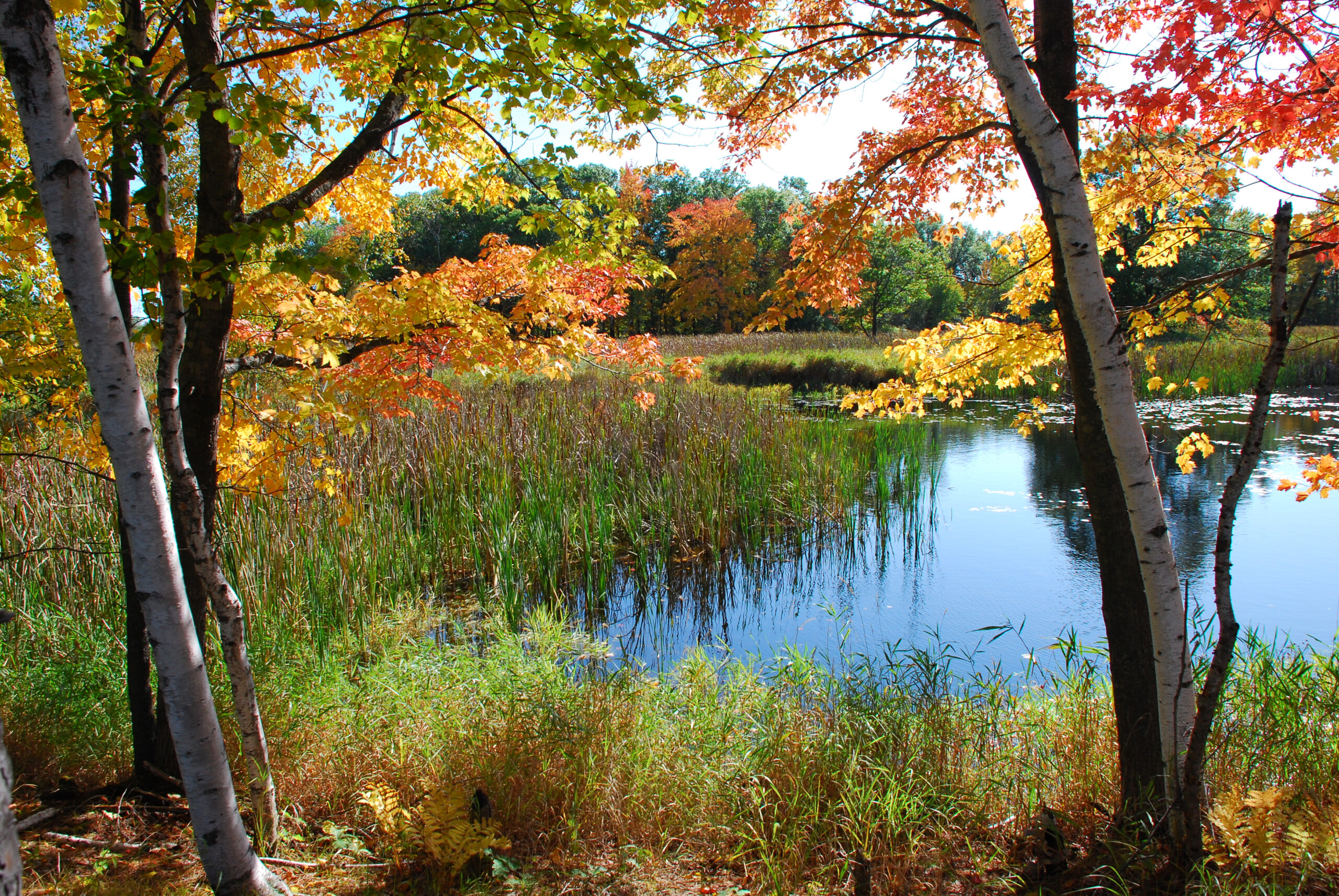 lakeside-color - Fox21Online