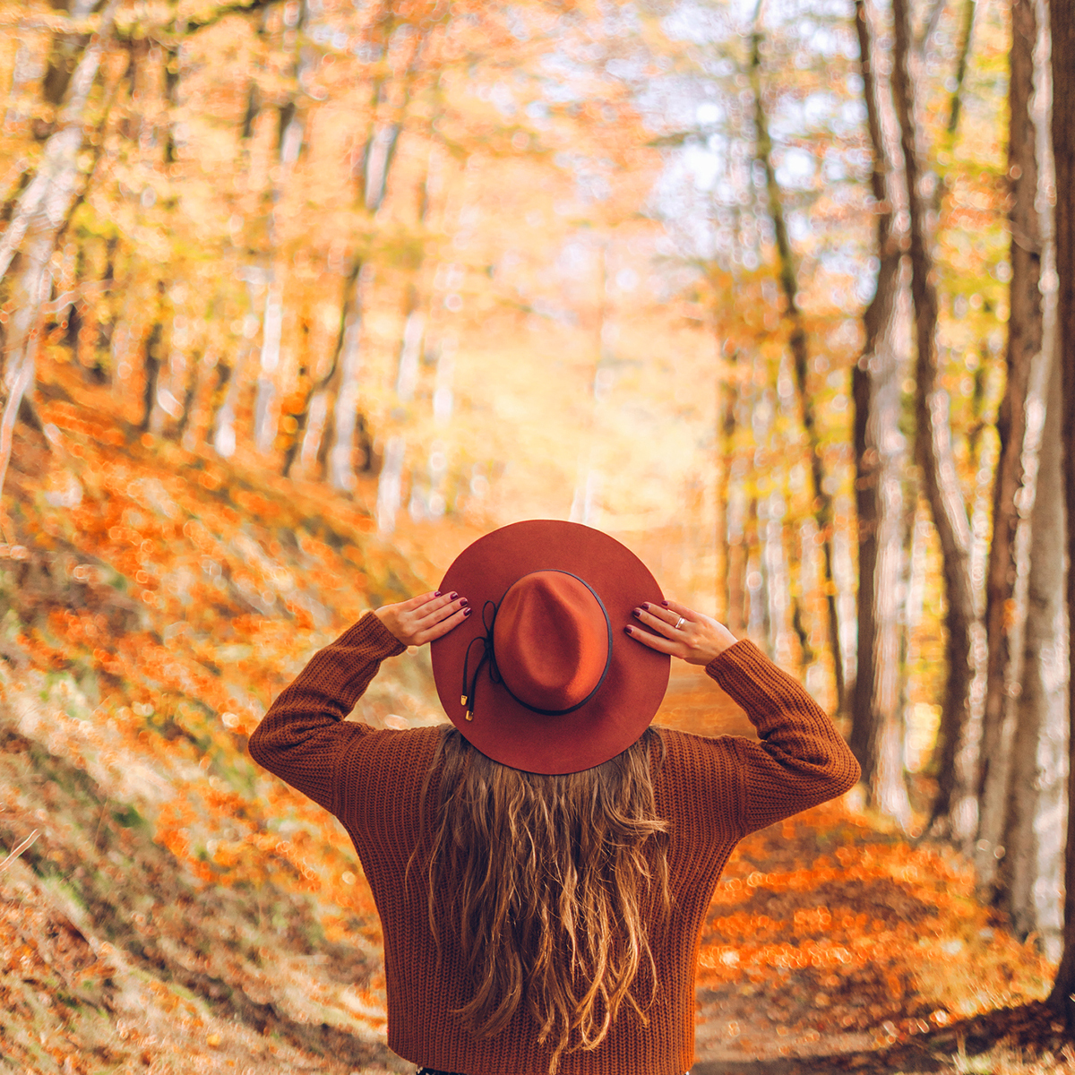 5 Ways To…Enjoy Fall Foliage Close to Home