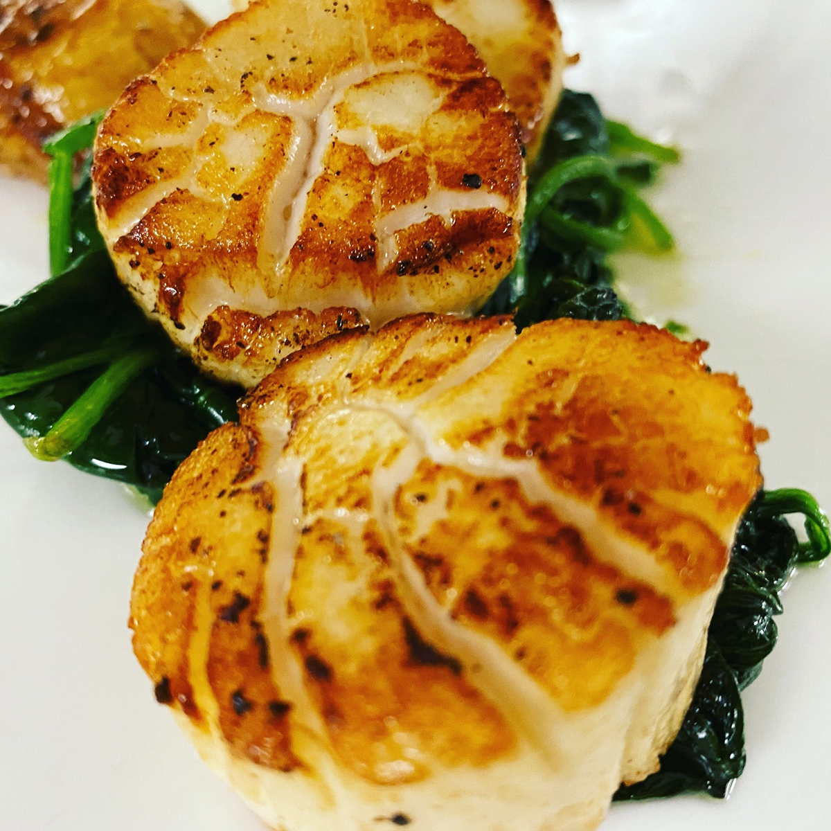 Go Fishing for a Friday Feast