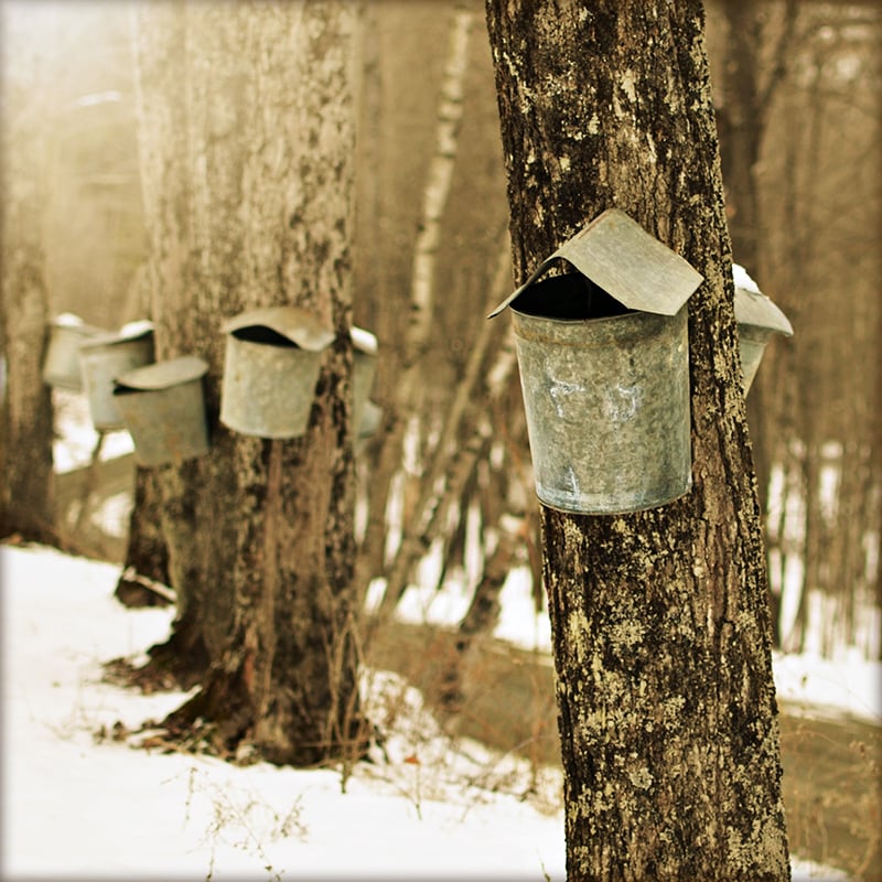 10 Fun Events For All To Enjoy