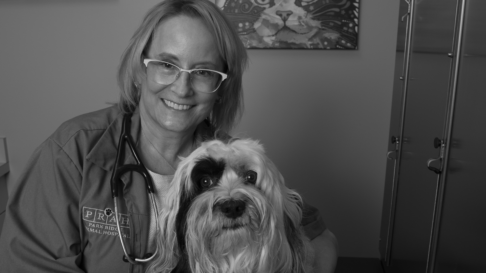 The Face of Animal Care: Donna Manderino